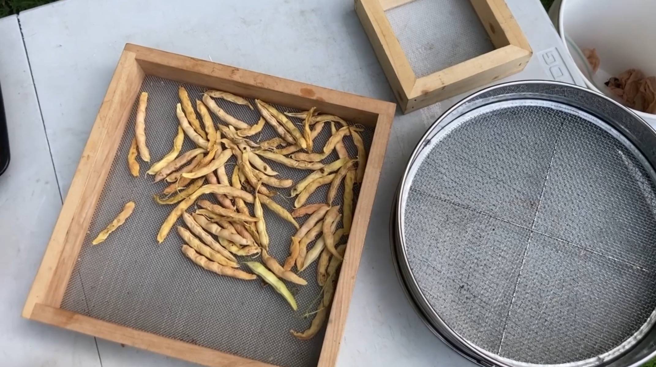 Harvesting and Processing Dry Seeds – Videos – Mother Earth News